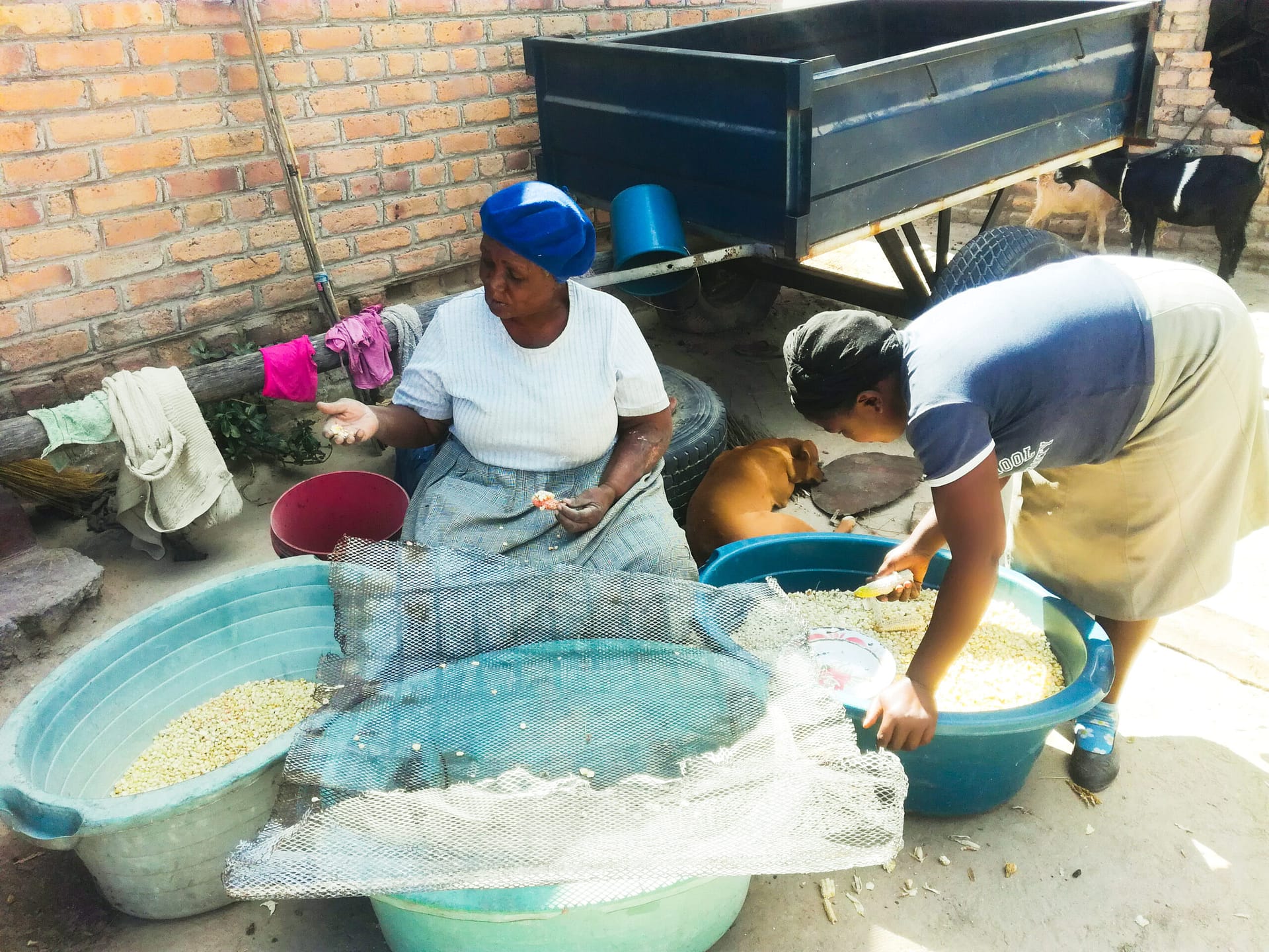 Afrochine Chrome Smelting breaks chains of poverty to improve the lives ...